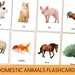 Domestic Animals Flashcards With Real Pictures, Farm Animals Cards ...