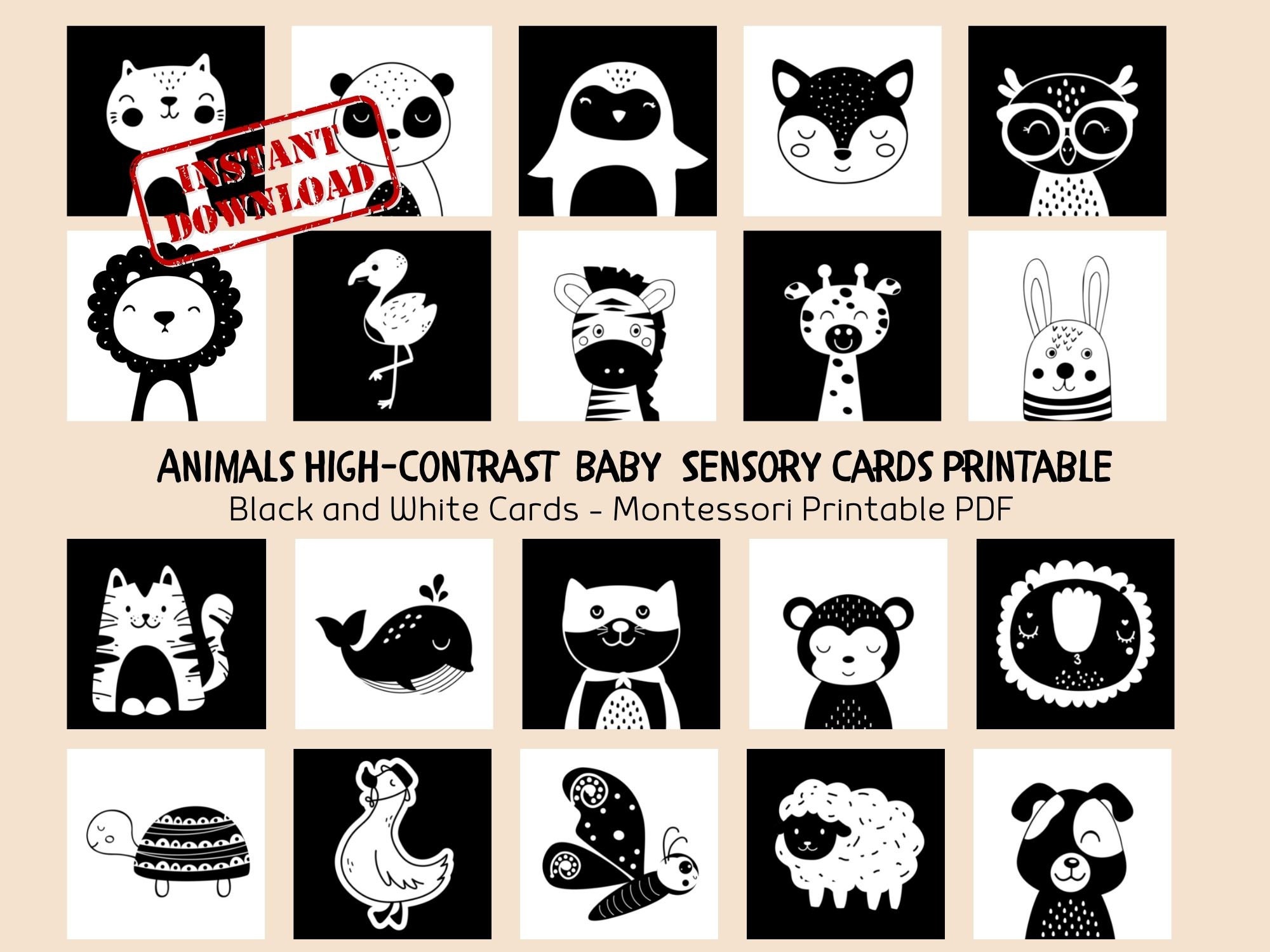 Animals High Contrast Sensory Flashcards, Black and White Flashcards ...