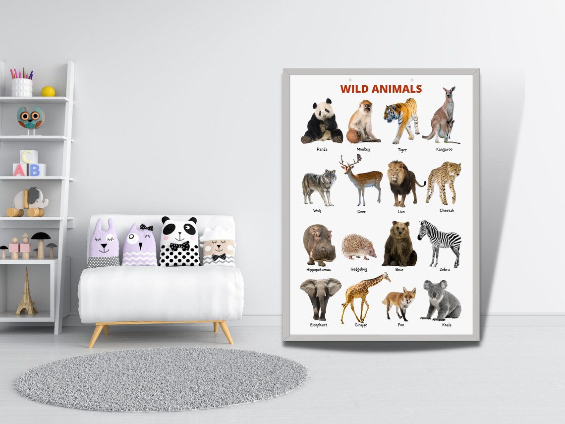WILD Animals Poster With Real Pictures Animal Portrait Print - Etsy