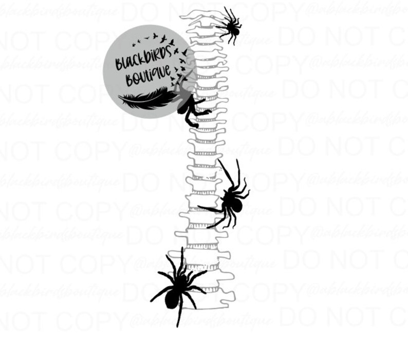 Spider Spine Png, Spooky Skeleton Png, Spooky Season Png, Skeleton ...