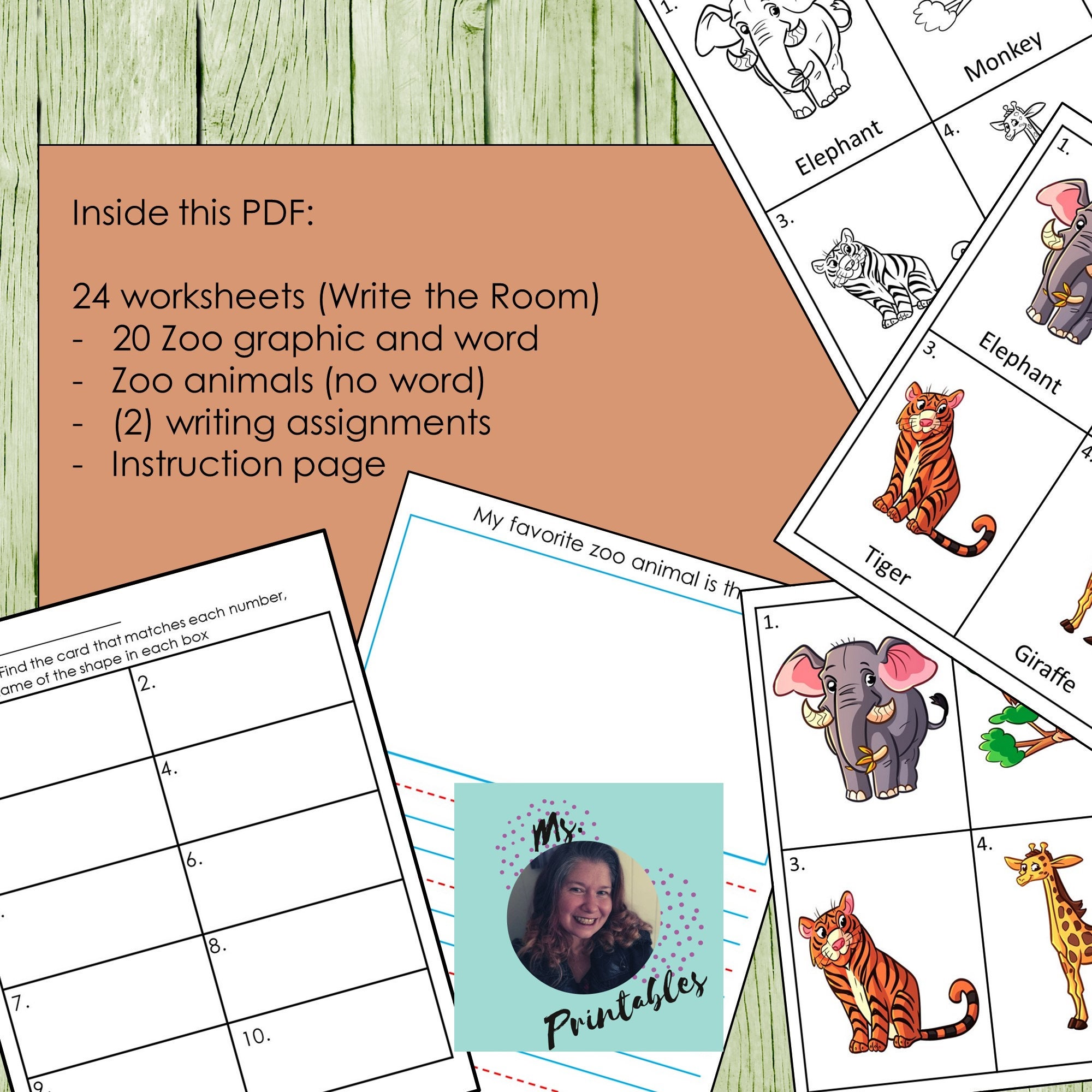 Zoo Write the Room, Zoo Worksheets, Zoo Unit Studies, Zoo Activity for ...
