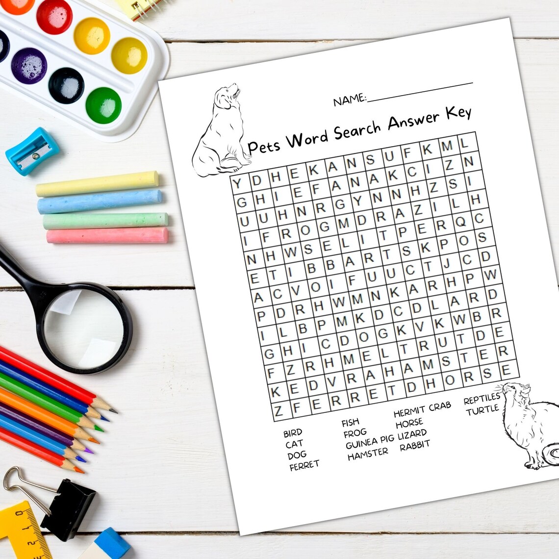Pets Word Search Wordsearch Printable for Kids Kids Activity | Etsy