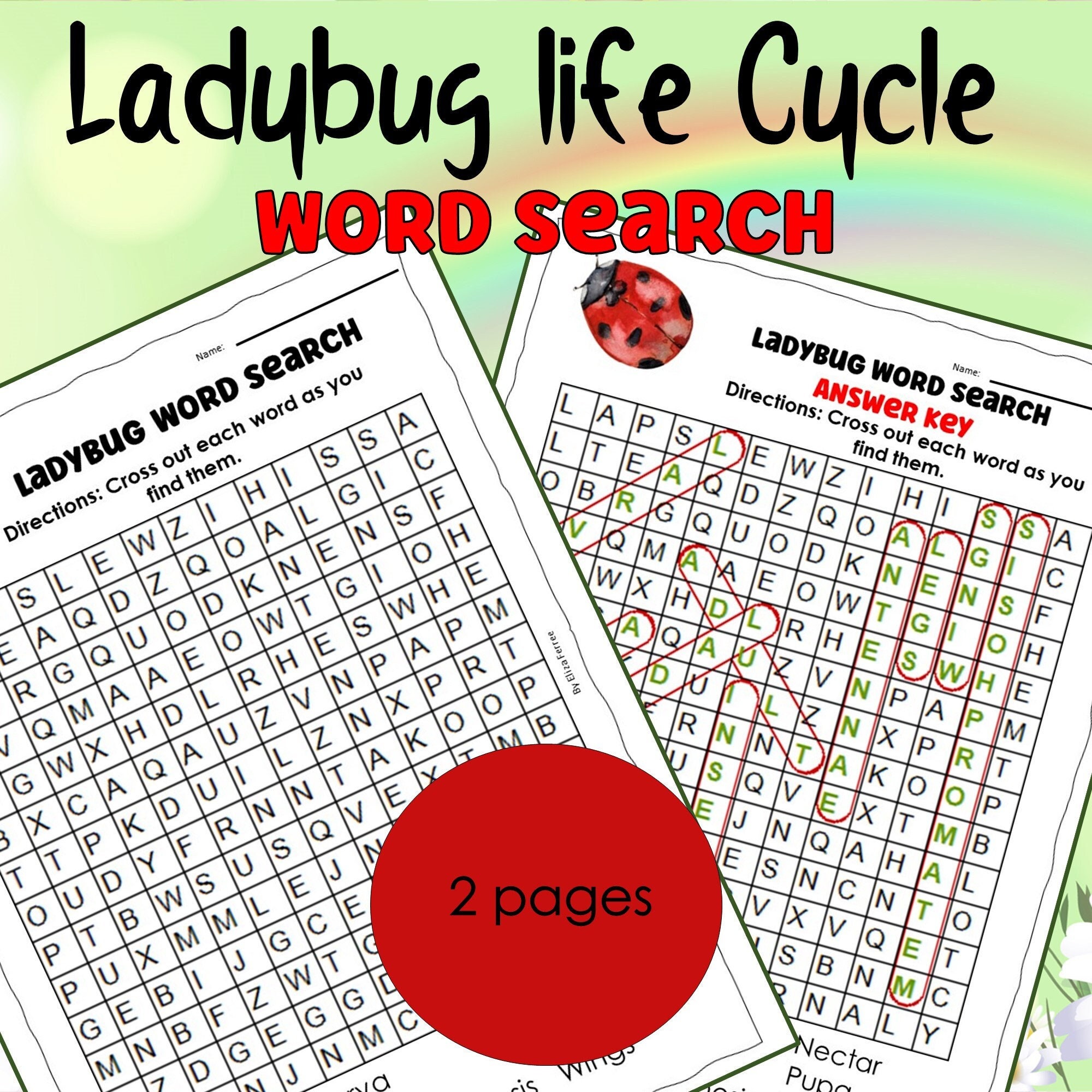 Ladybug Word Search, Ladybug Printable, Ladybug Life Cycle Activity ...