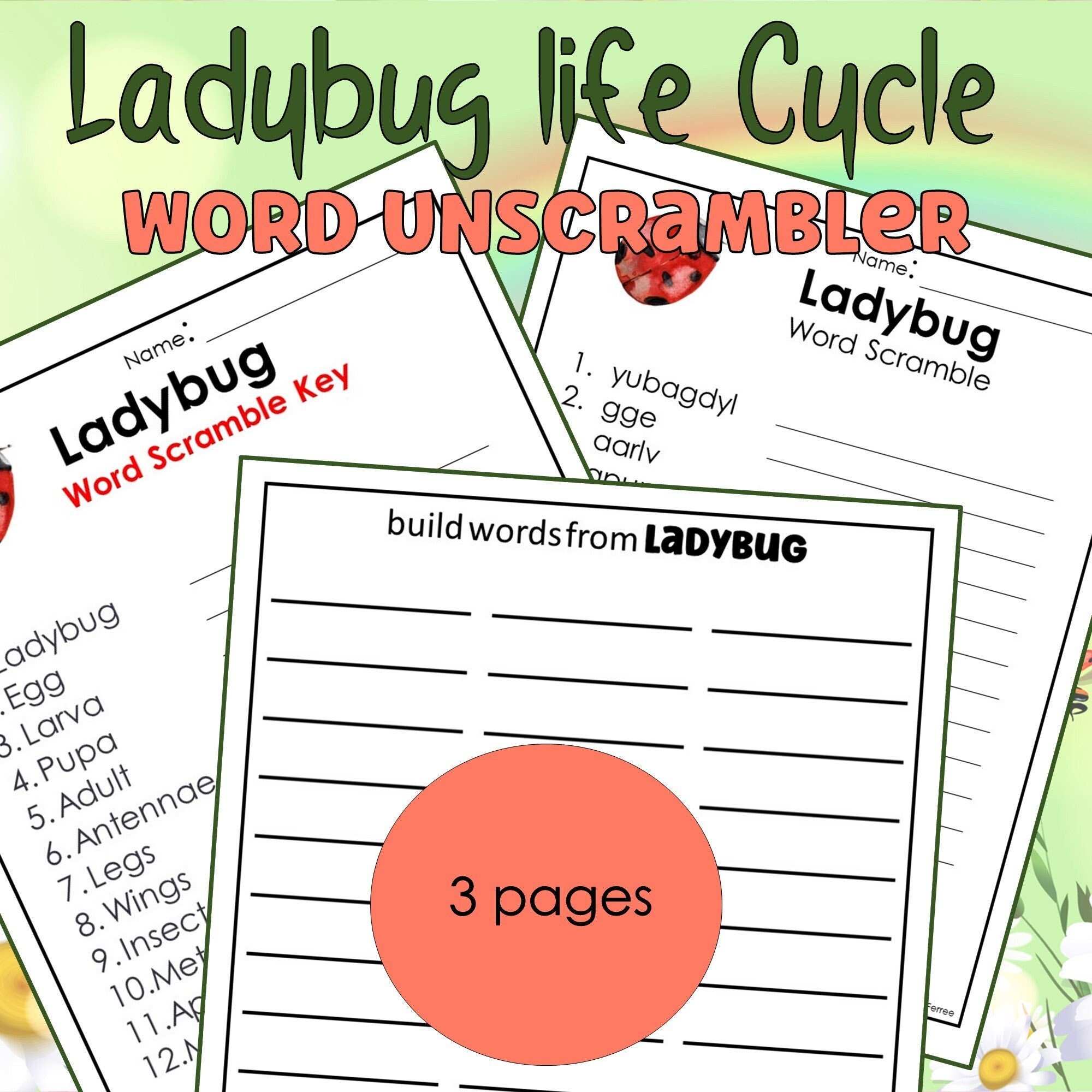 Ladybug Word Scramble, Ladybug Worksheet, Ladybug Life Cycle, Ladybug ...