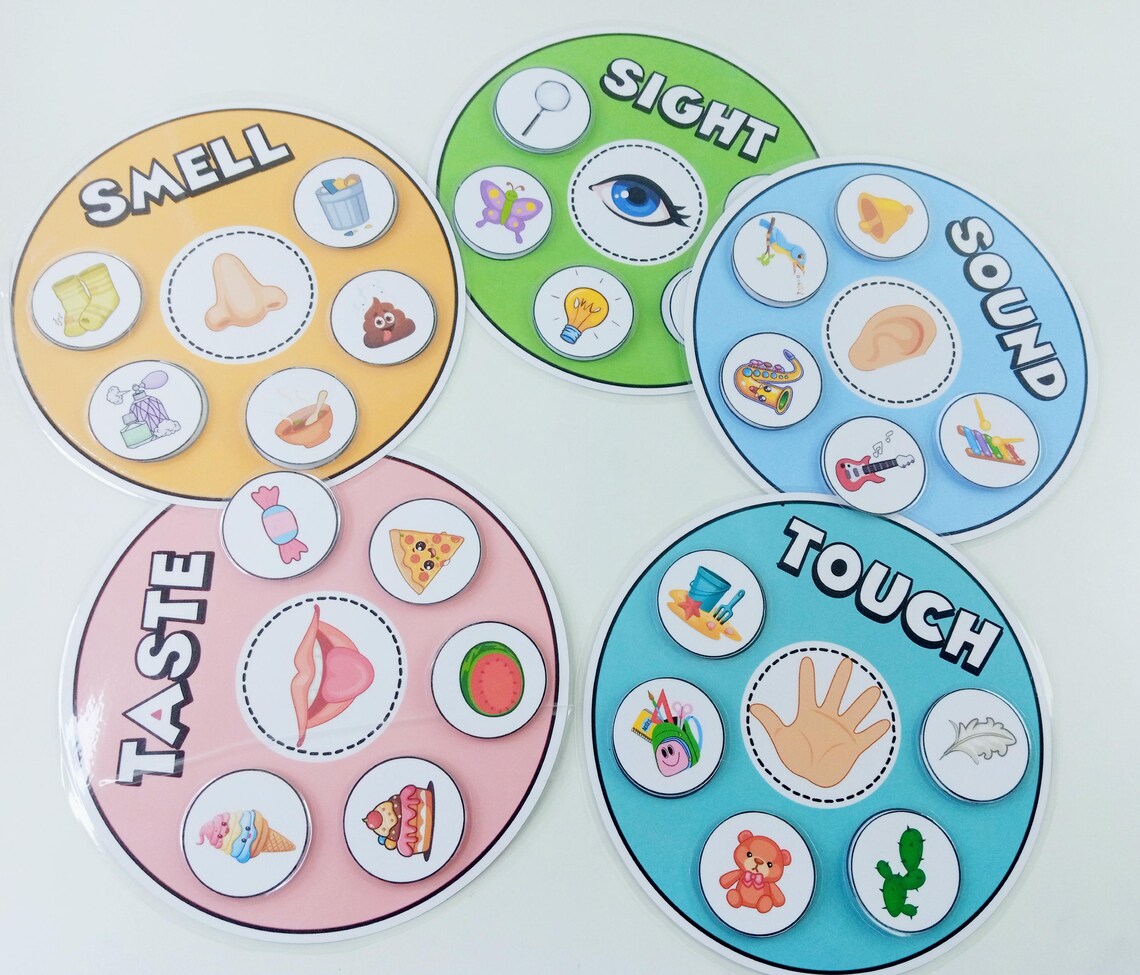 Five Senses Sorting Activity Printable, 5 Senses Sorting, Kids 5 Senses ...