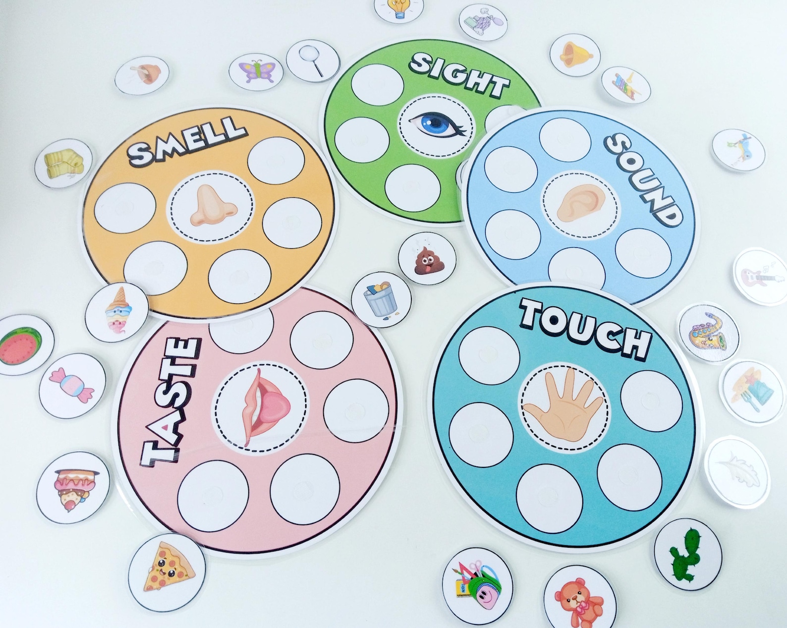 Five Senses Sorting Activity Printable, 5 Senses Sorting, Kids 5 Senses ...