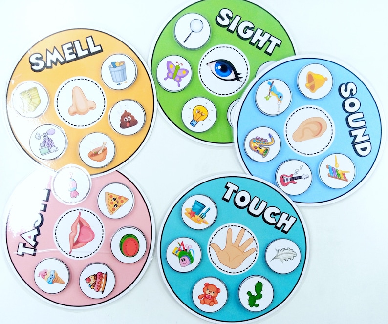 Five Senses Sorting Activity Printable, 5 Senses Sorting, Kids 5 Senses ...