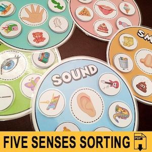Five Senses Sorting Activity Printable, 5 Senses Sorting, Kids 5 Senses ...