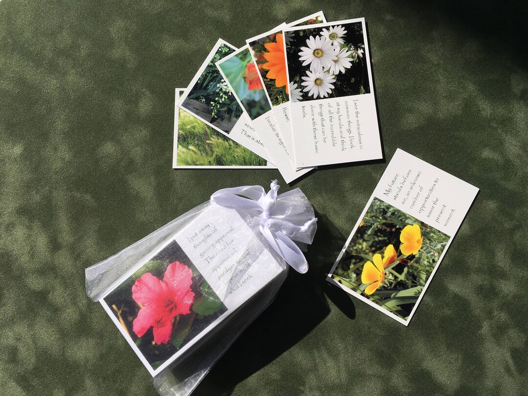 Wisdom Wisdom Cards Words of Wisdom Inspiration Inspirational Sayings ...