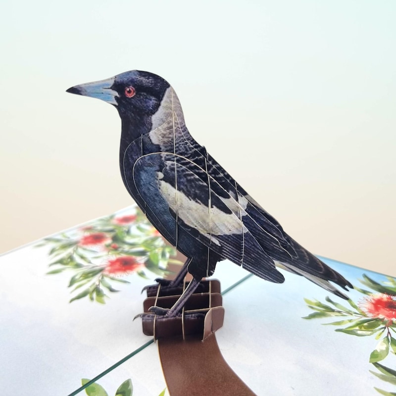 Magpie - Etsy Australia