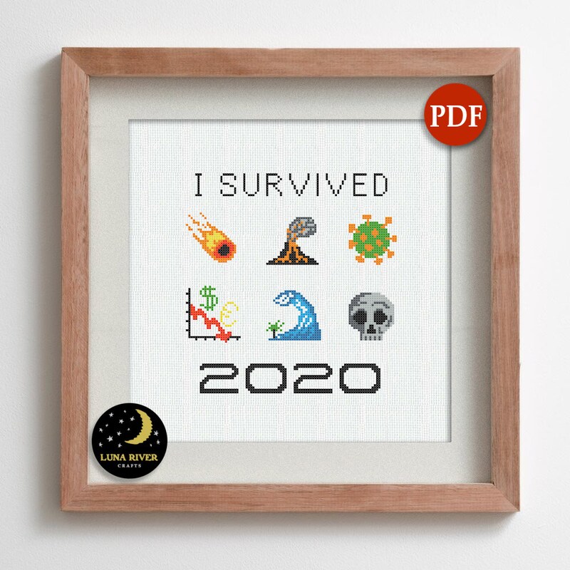 I Survived 2020 - Etsy