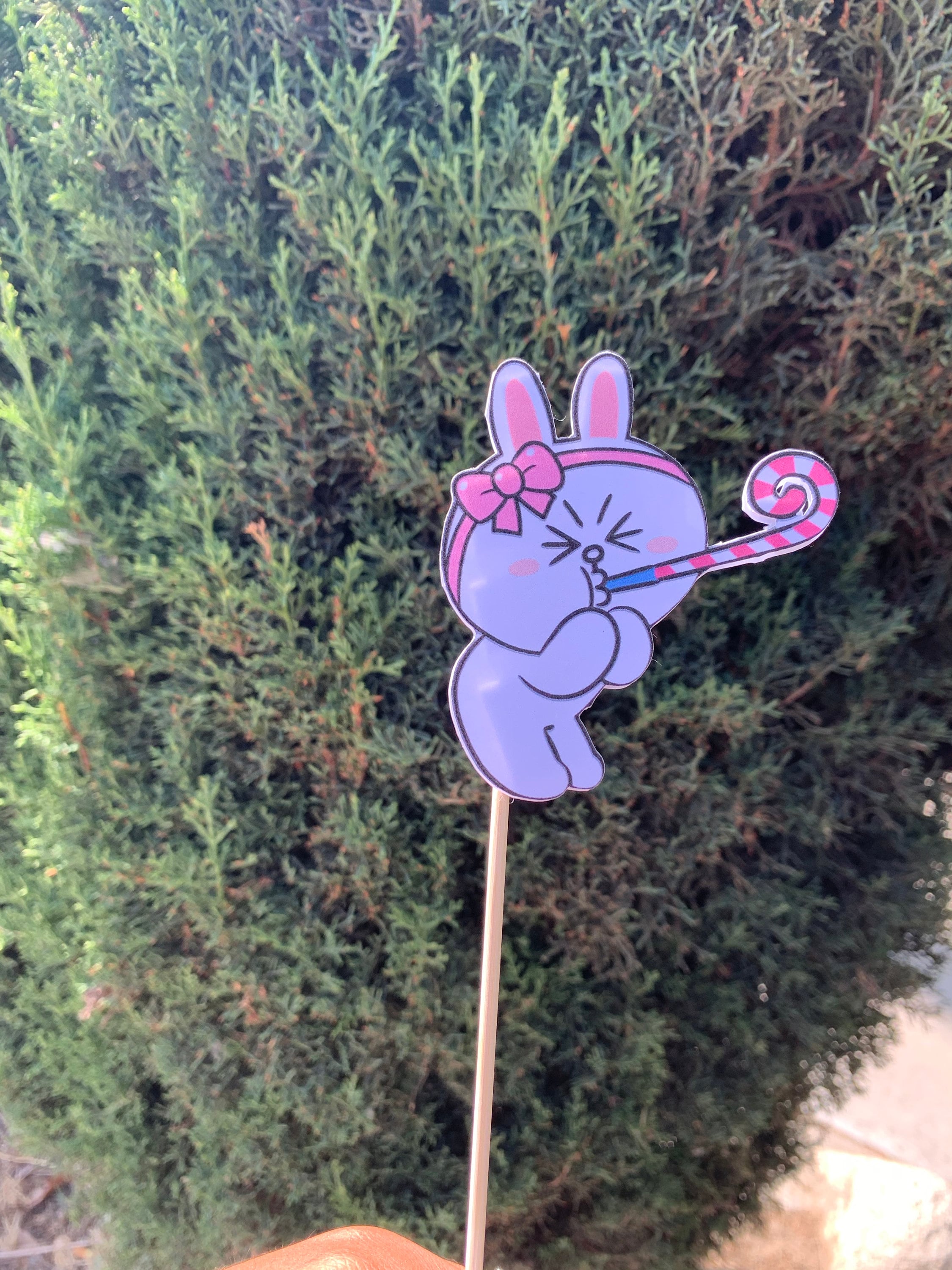 LINE FRIENDS Birthday Cake Topper LINE Friends Theme Party - Etsy