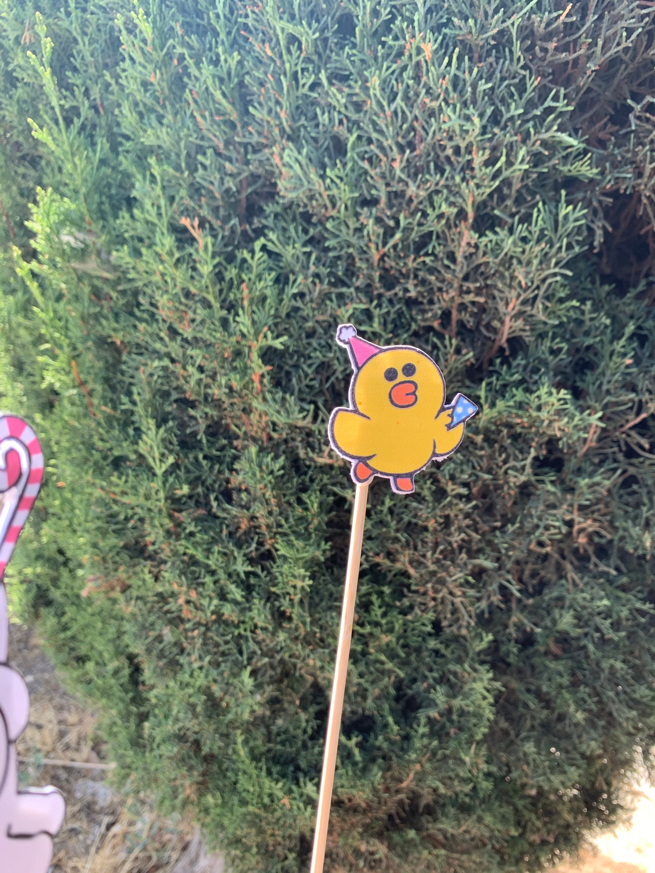 LINE FRIENDS Birthday Cake Topper LINE Friends Theme Party - Etsy