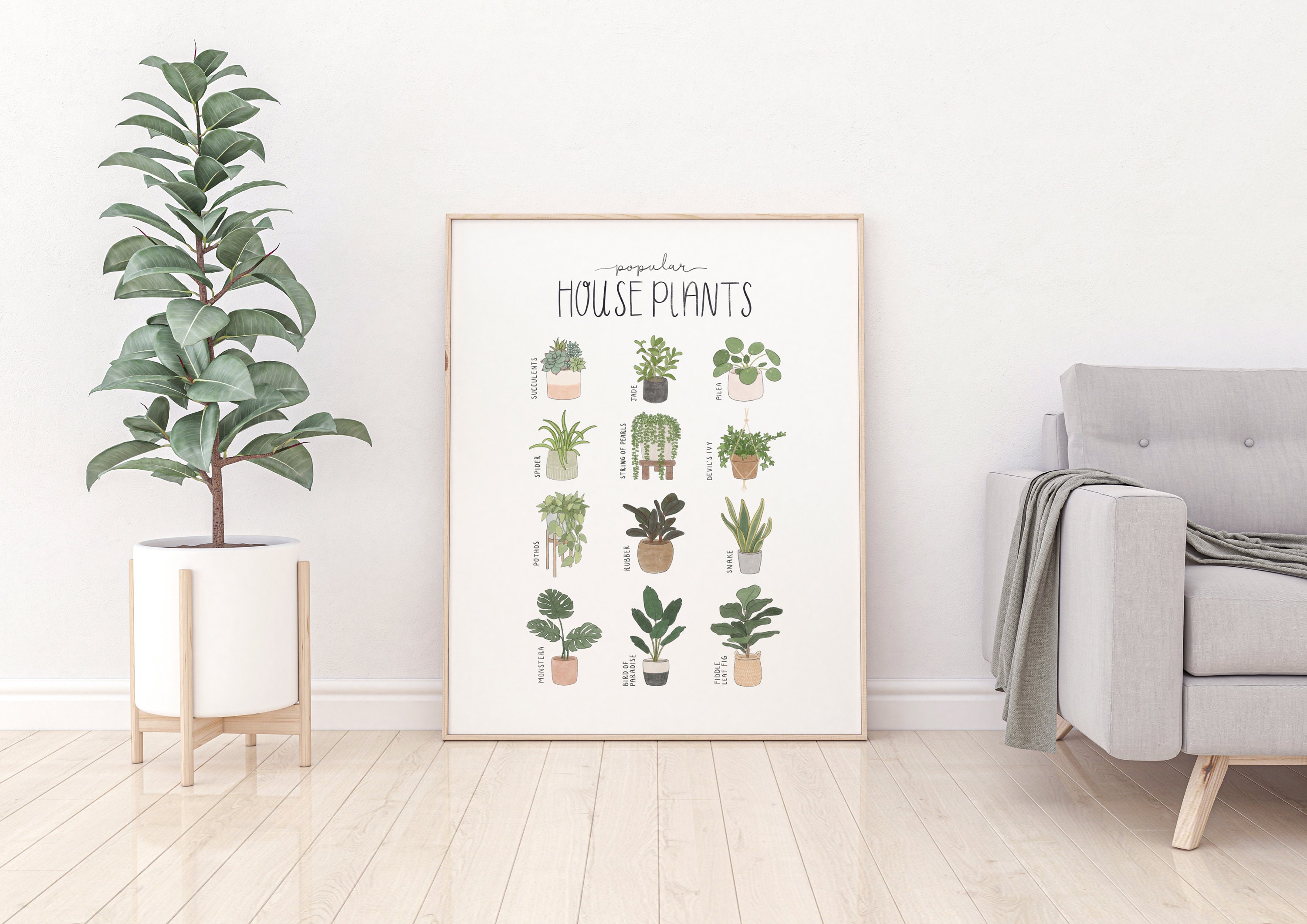 Popular Houseplant Art Print Houseplant Illustration Poster | Etsy