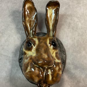 Brown/ Gold Bunny Shines for You! Hang It on Your Wall, Great Coloring ...