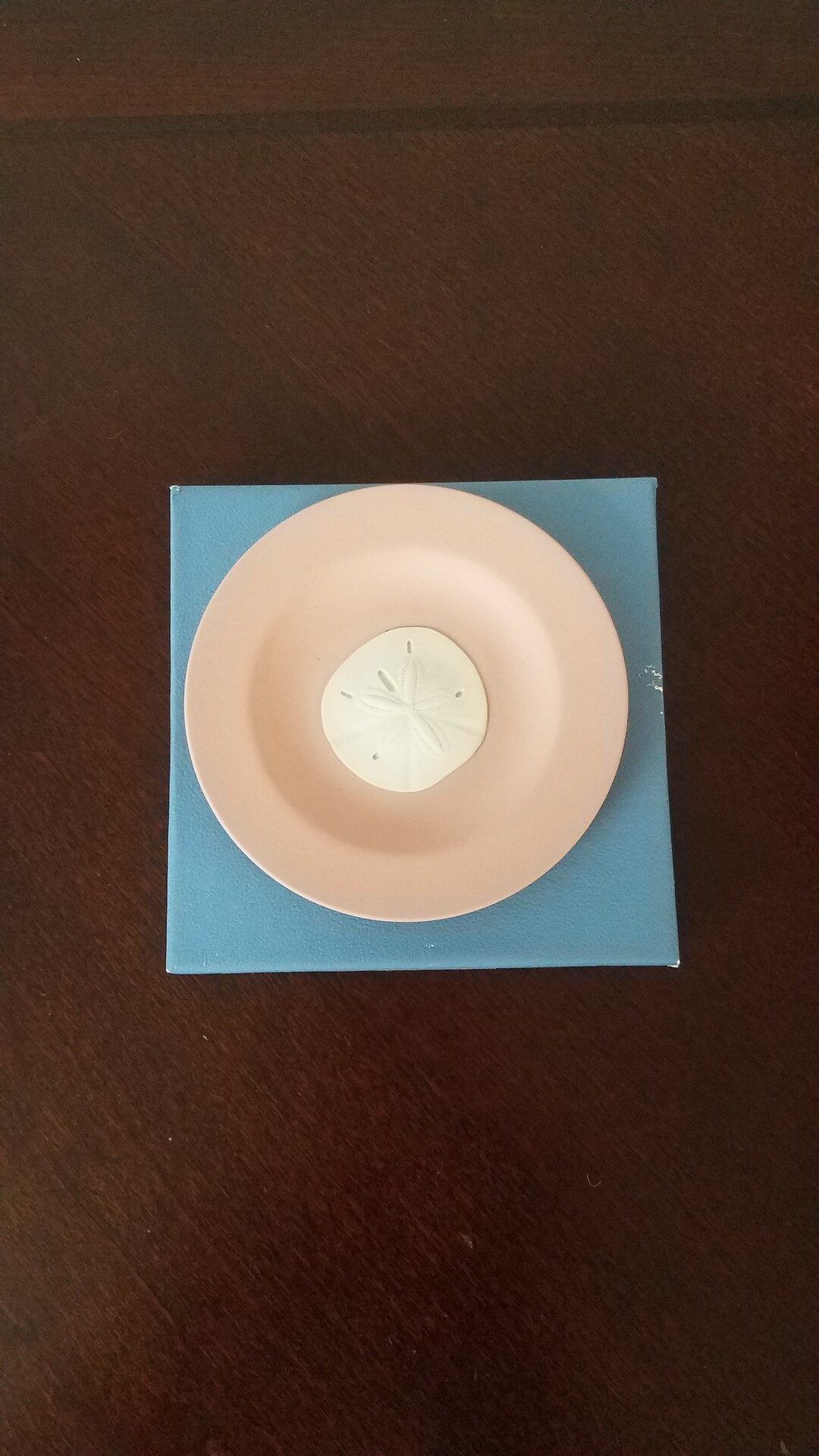 Wedgwood Pink Jasperware Sand Dollar Trinket Dish in Original Box Matte ...