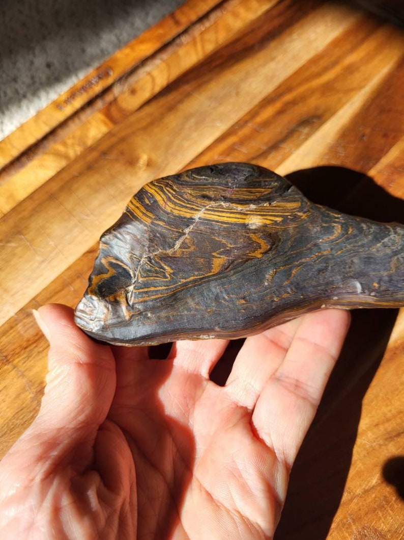 Banded Iron Formation Display Specimen - Wyoming Wind Slick BIF - Etsy