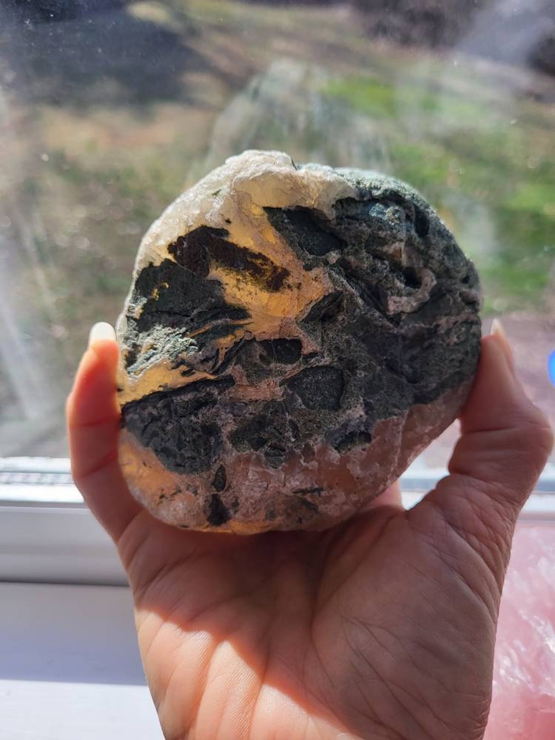 Wyoming Wiggins Fork Limb Cast Chalcedony / Agate Specimen - Etsy