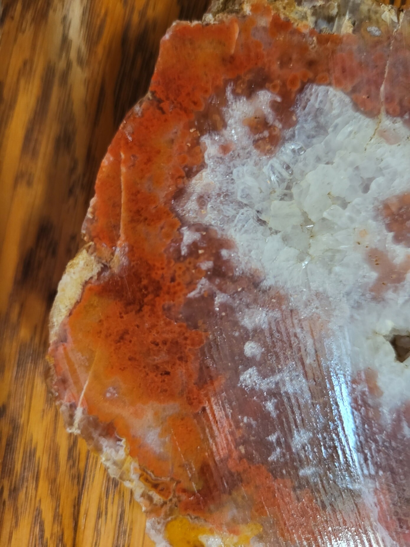 Tennessee Paint Rock Agate Slab - Etsy