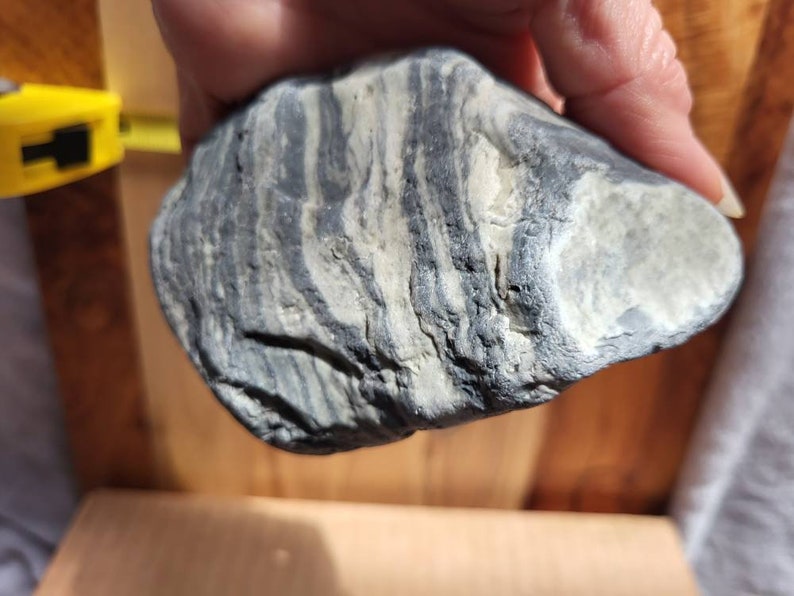 Striped Jasper From Montana - Dark Gray/white - Etsy