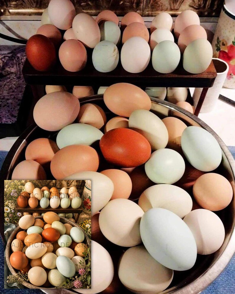 Rainbow Farm Fresh Eggs Printable Wall Art | Cottagecore Kitchen Decor ...