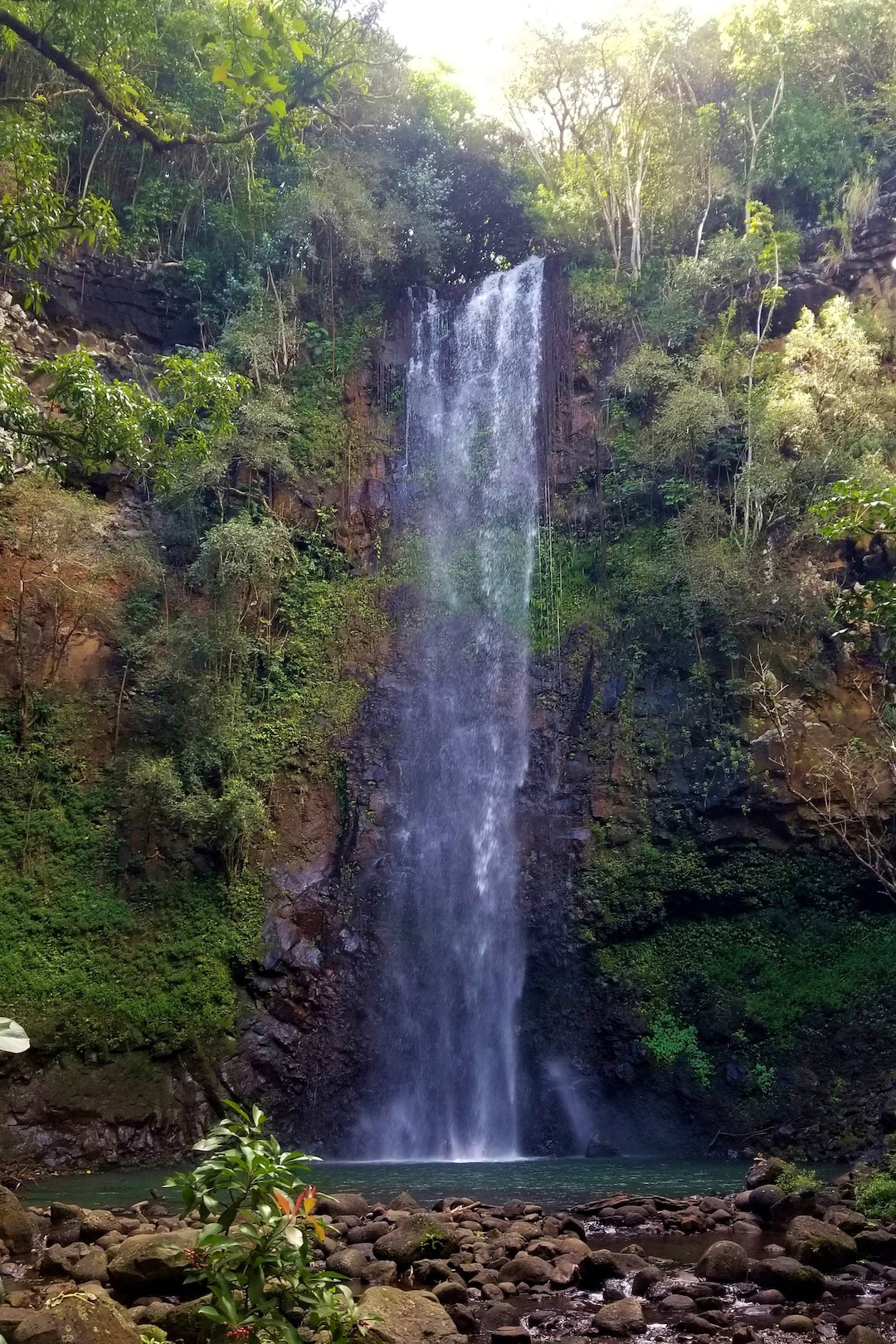 Hawaii Kauai Island Uluwehi / Secret Falls Waterfall PRINT: Travel ...