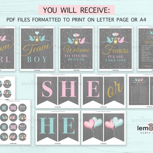 Gender Reveal Bundle, Gender Reveal Decoration, Gender Reveal Games ...