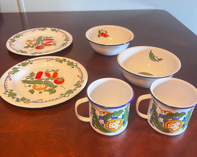 Farmhouse Vintage Enamelware Plates Bowls & Coffee Mugs Colorful ...