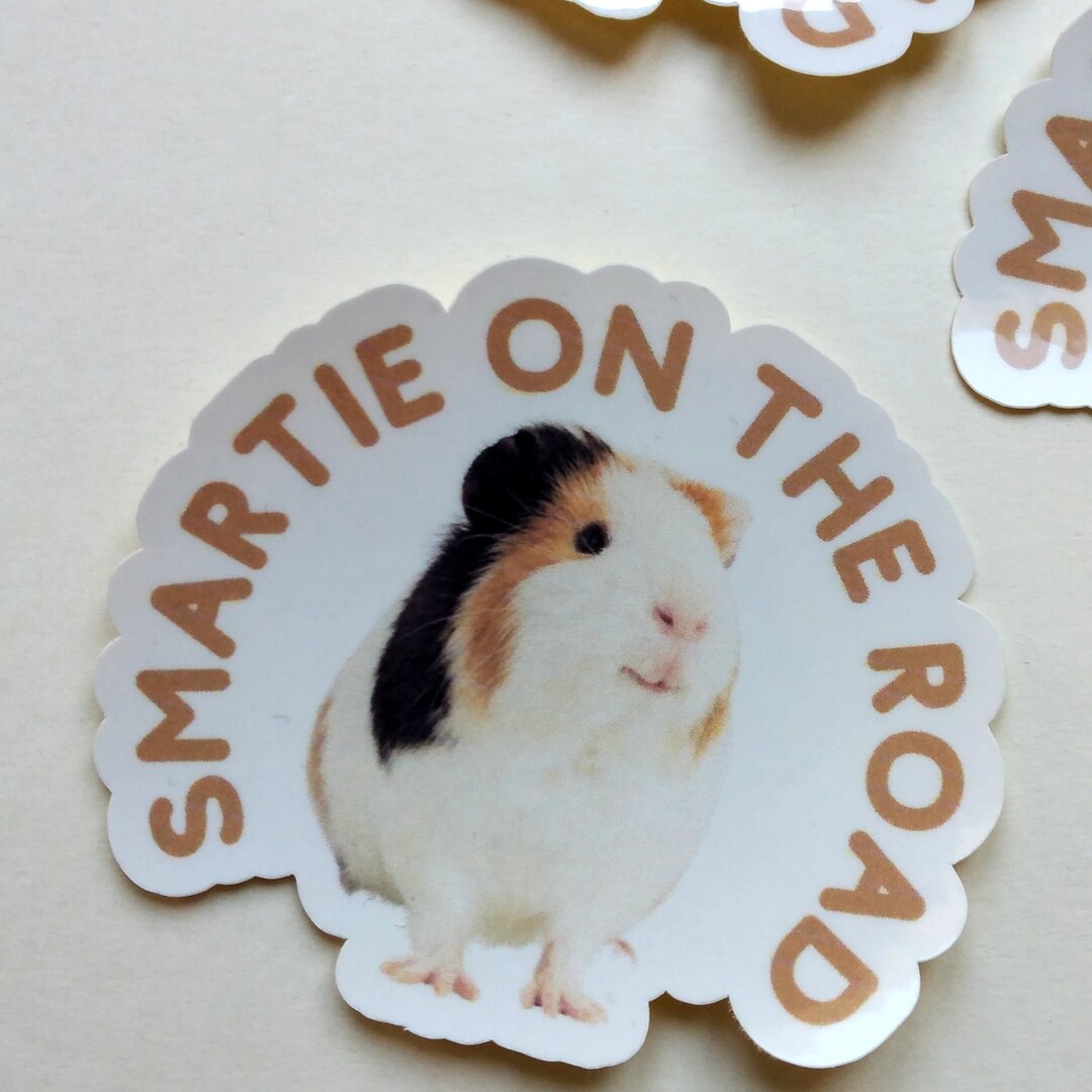 Smartie on the Road Sticker Guinea Pig, Gift, School Enrollment - Etsy