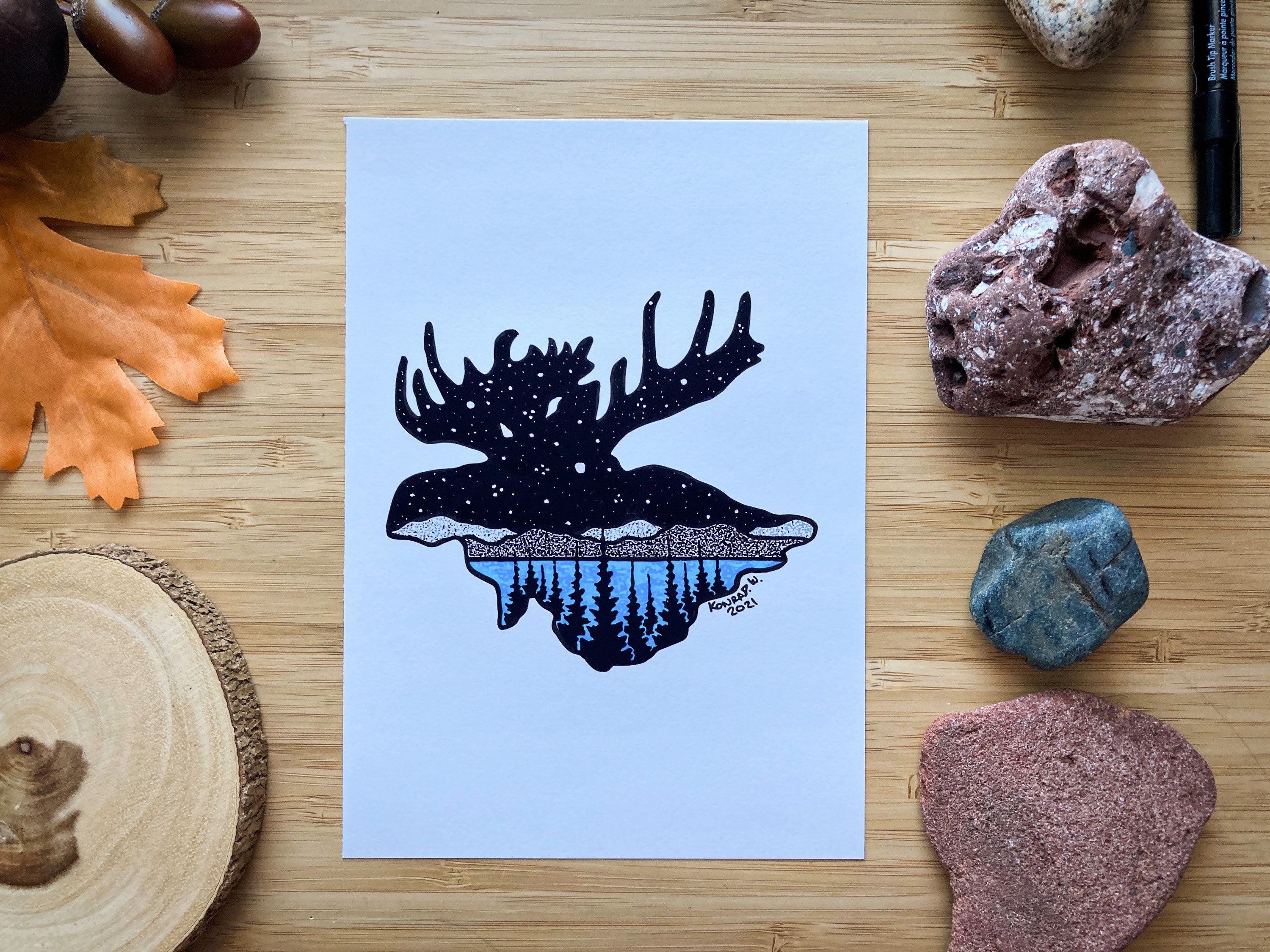 Moose Head With Night Sky Pen and Ink PRINT | Etsy