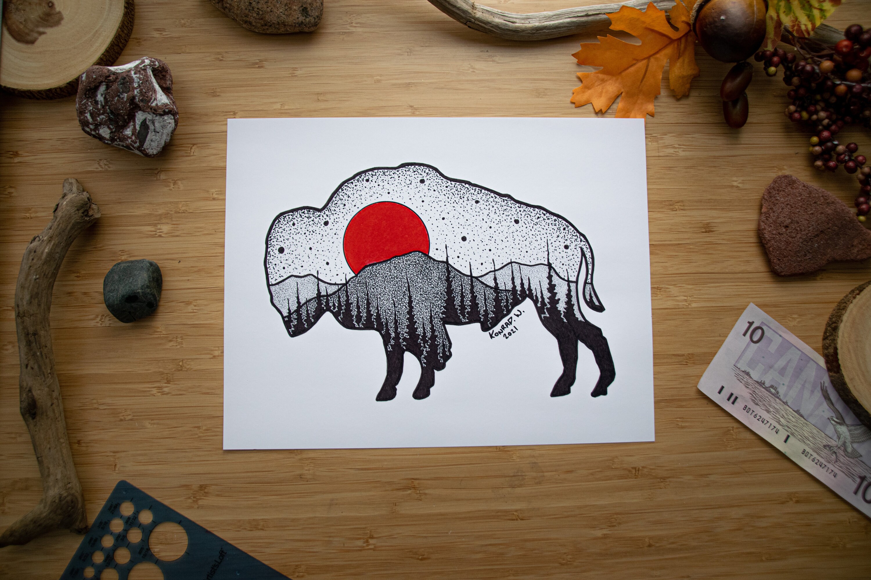 The Bison Pen and Ink PRINT | Etsy