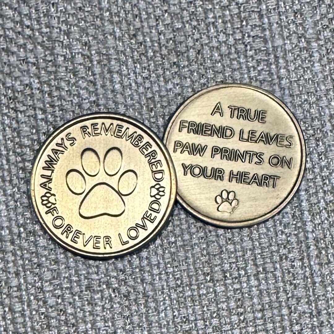 Bronze Pet Memorial Medallion: Dog Paw Prints Memory Coin - Etsy