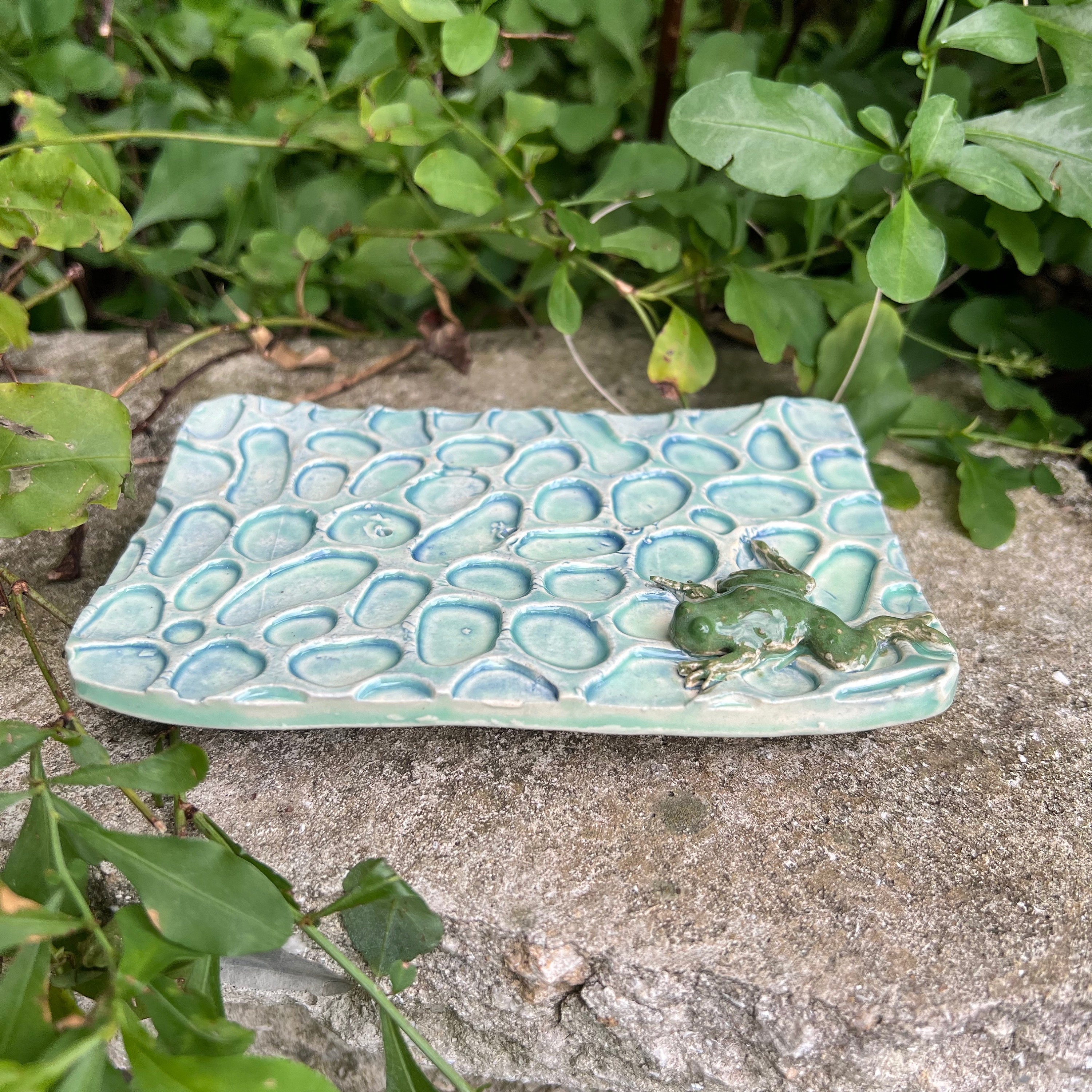 Frog Soap Dish - Etsy