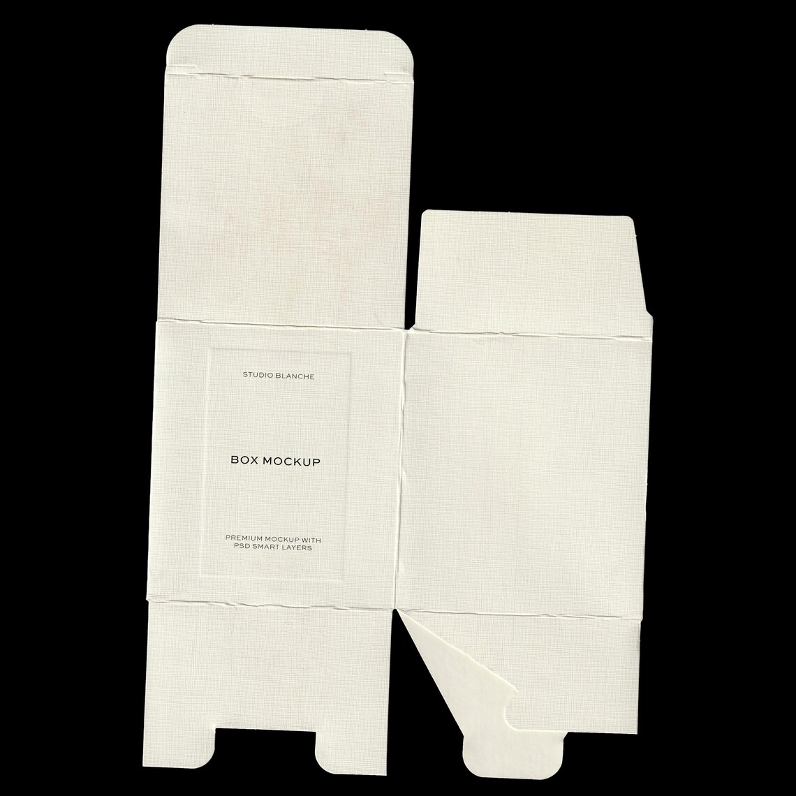 Scanned Cosmetic Box Mockup, Scan Box Branding Mockup, Product ...