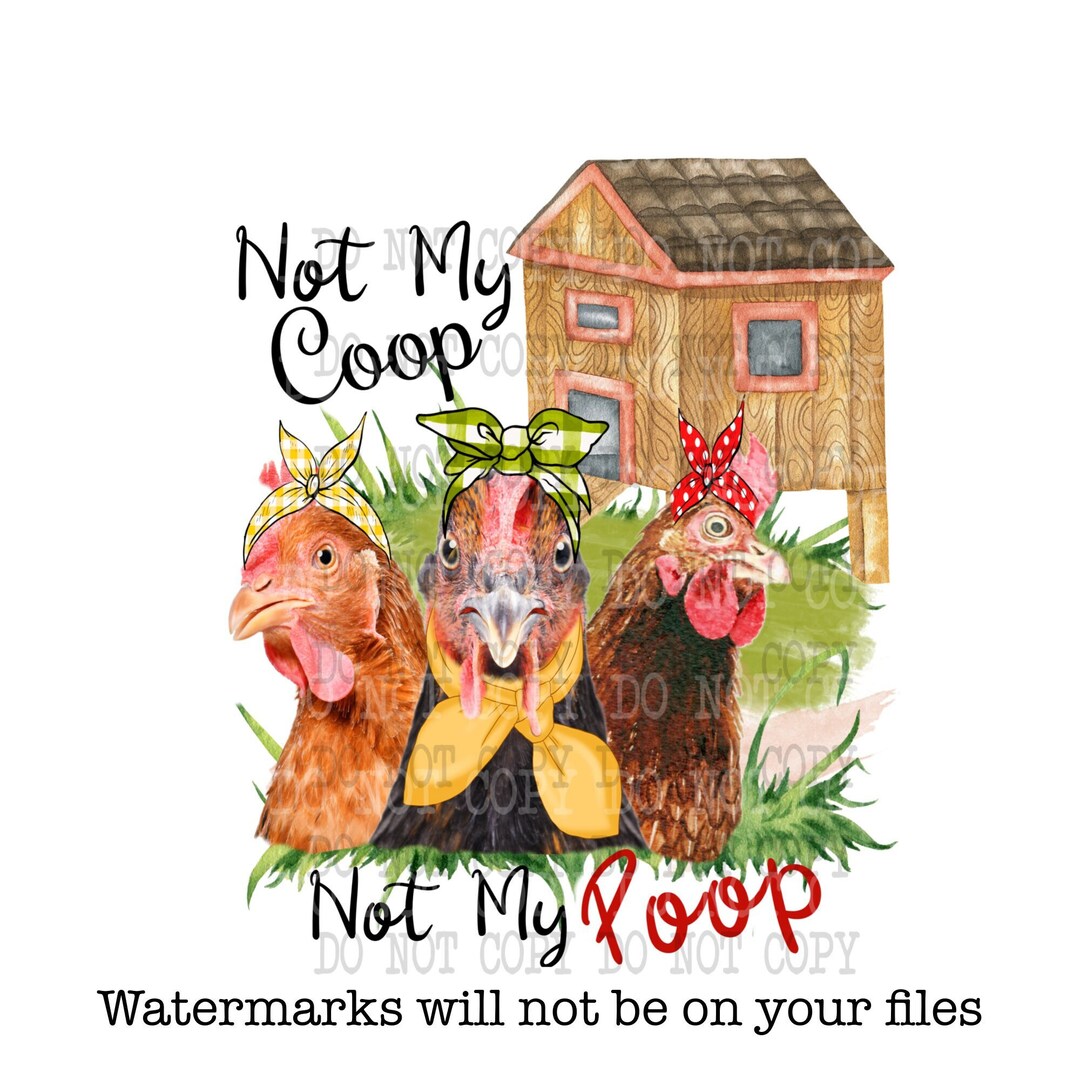 Chicken Png, Funny Chicken, Digital Download, Not My Chicken Not My ...
