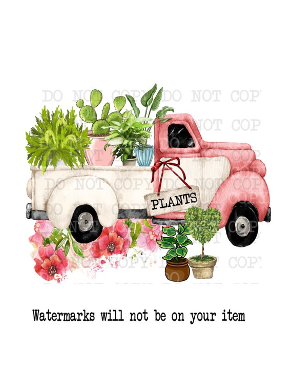 Spring PNG Plants Digital Download Plant Clipart Garden | Etsy