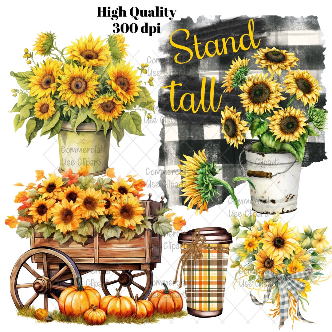 Fall Sunflower Pumpkin Clipart Bundle: Autumn PNG (digital Download) - Etsy