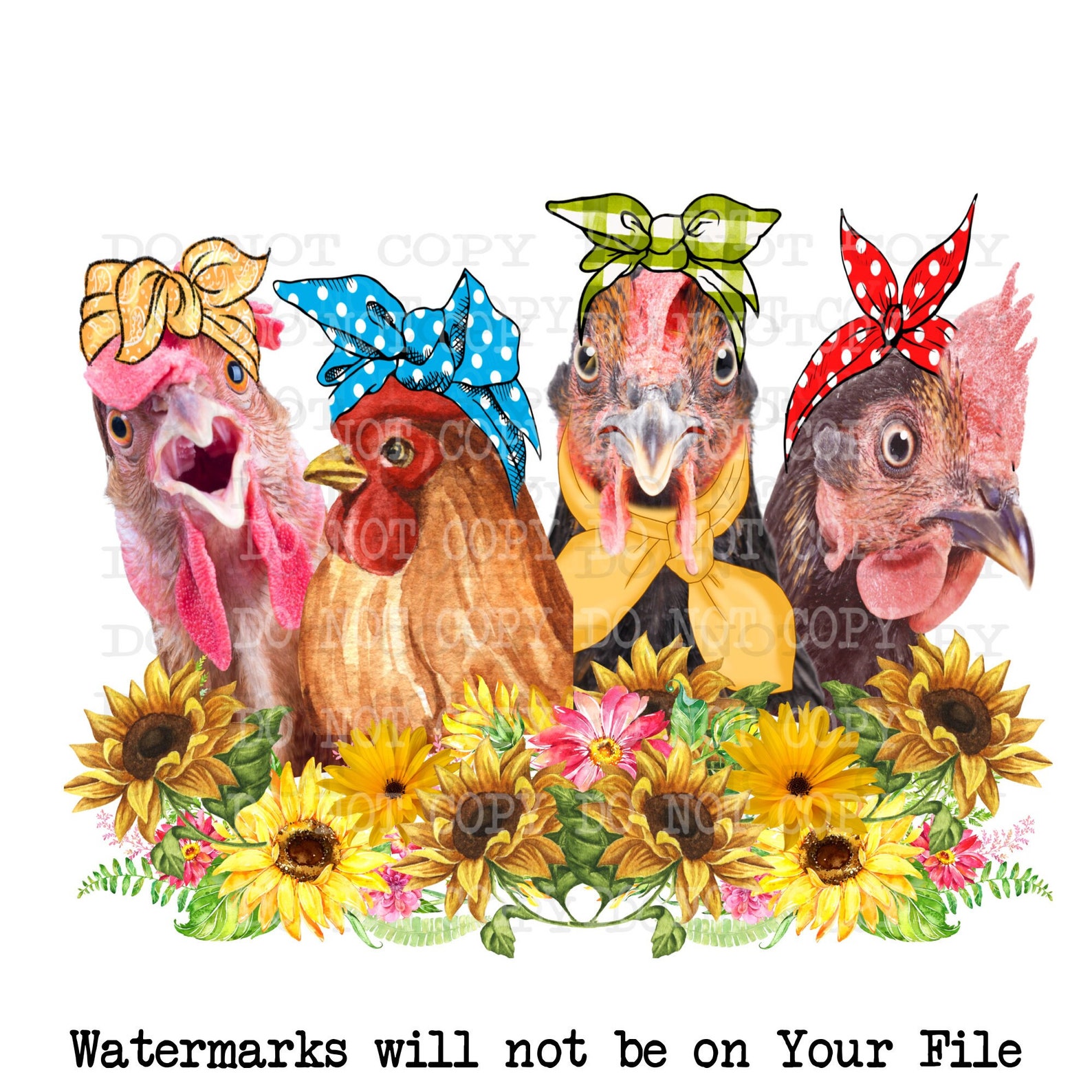 Funny Chicken Png Chicken Png Digital Download Chicken and - Etsy