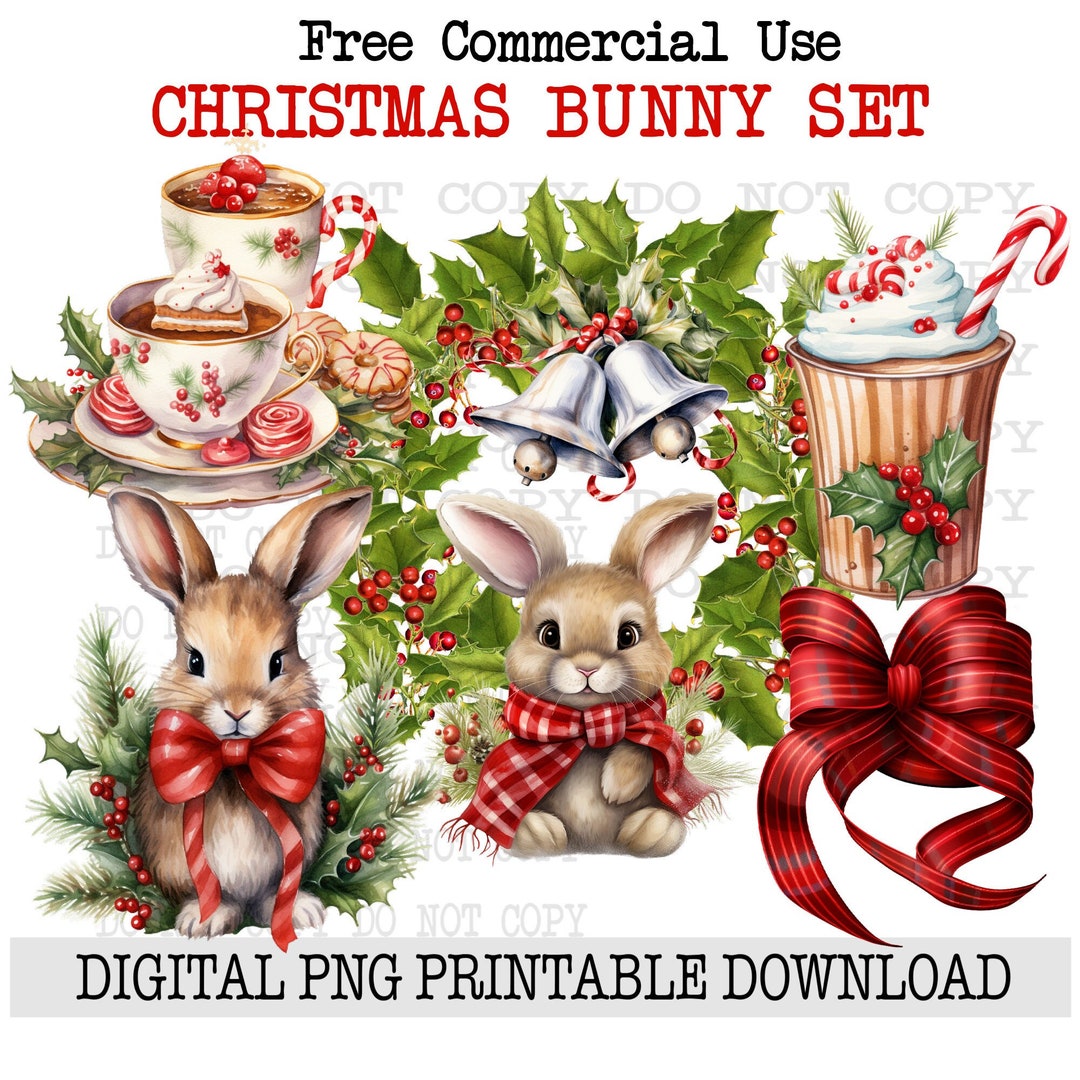 Christmas Clipart Bundle, Digital Download, Christmas Bunny Ornament ...