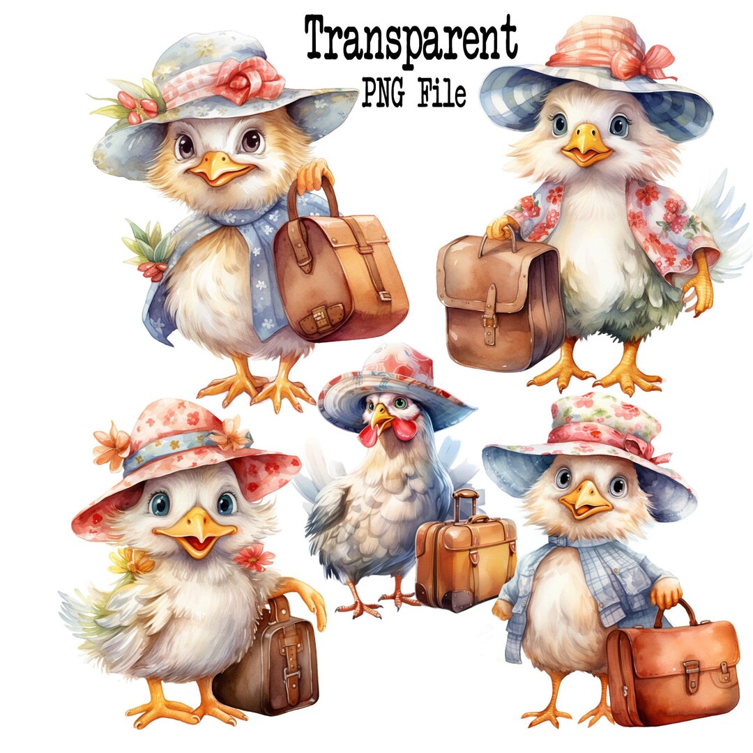 Chicken Clipart Bundle, Traveling, Chickens, Chicken Png, Digital ...