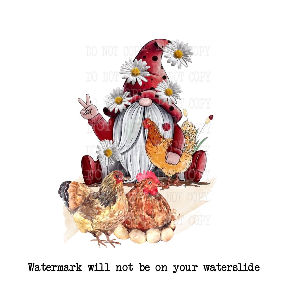 Chicken Gnome, Gnome Png, Digital Download, Sublimation Designs ...