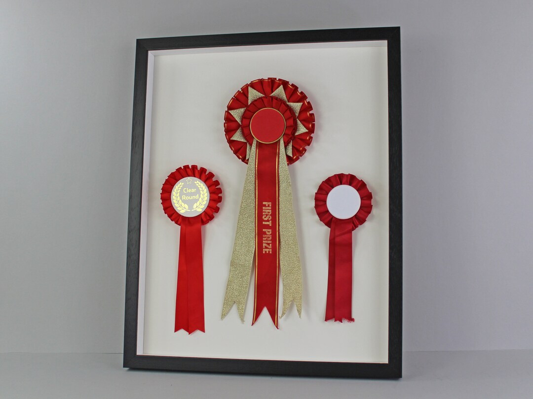 Rosette Display Frame. 40x50. Horse Competitions. Dog Shows ...