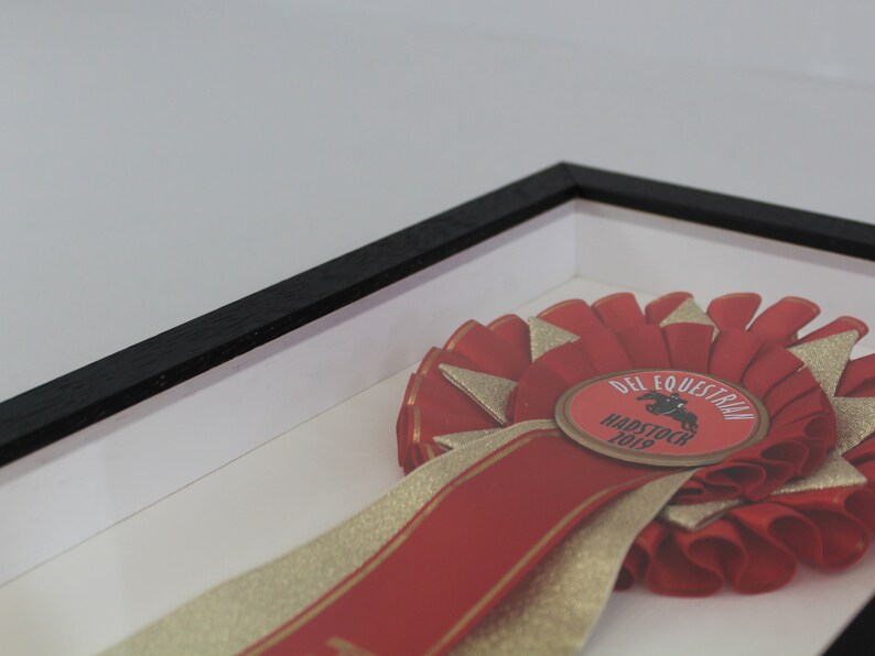 Personalised Rosette Display Frame. 40x50. Suits a Rosette and - Etsy