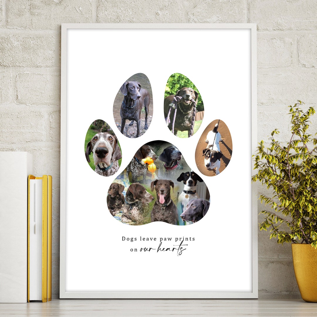 Paw Print Photo Collage, Paw Print Picture, Dog Memory, Cat Memory, Paw ...