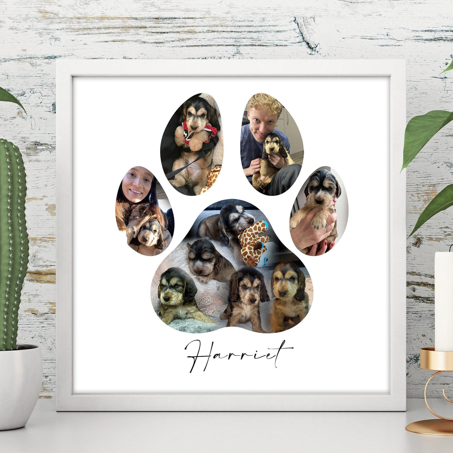 Paw Print Photo Collage, Paw Print Picture, Dog Memorial, Cat Memorial ...