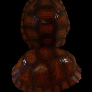 XL Extra Large Leather Turtle Tortoise Backpack Bag Purse - Etsy