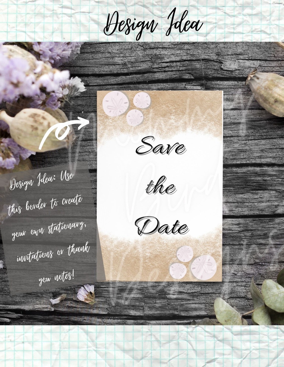 Sand Dollar Beachy Border PNG, DIY Invitation Elements, Thank You Notes ...