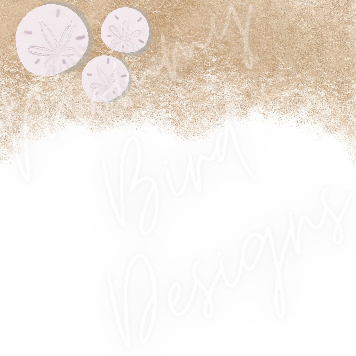 Sand Dollar Beachy Border PNG, DIY Invitation Elements, Thank You Notes ...