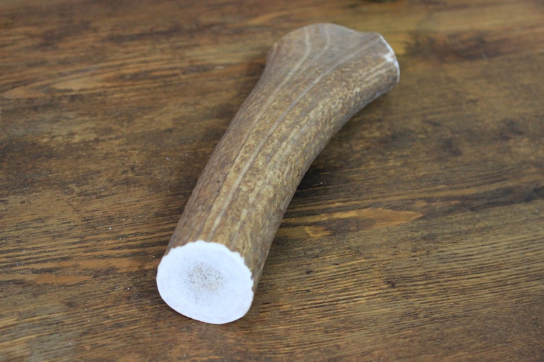 Monster Whole Elk Antler Dog Bone Made in USA Natural Dog - Etsy