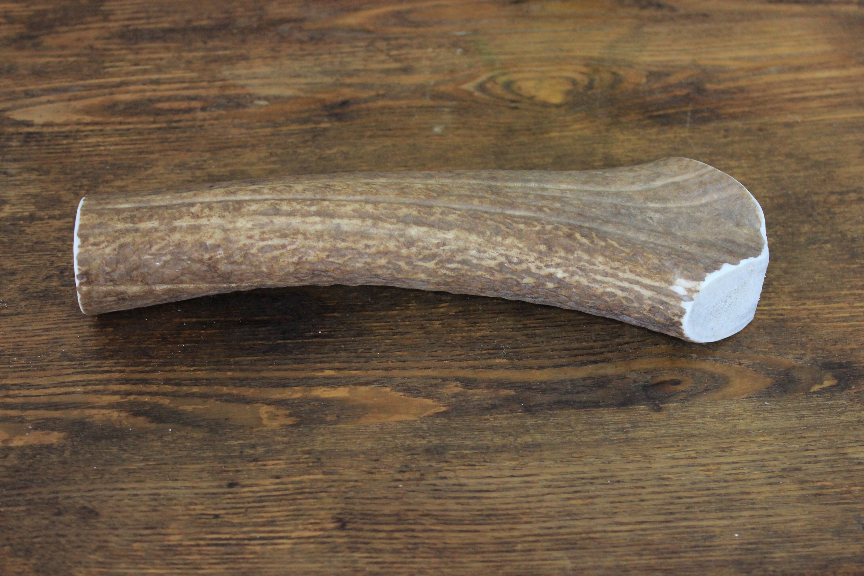 Monster Whole Elk Antler Dog Bone Made in USA Natural Dog - Etsy